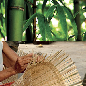 Bamboo Handicrafts Nature-Inspired Art | Workpoint
